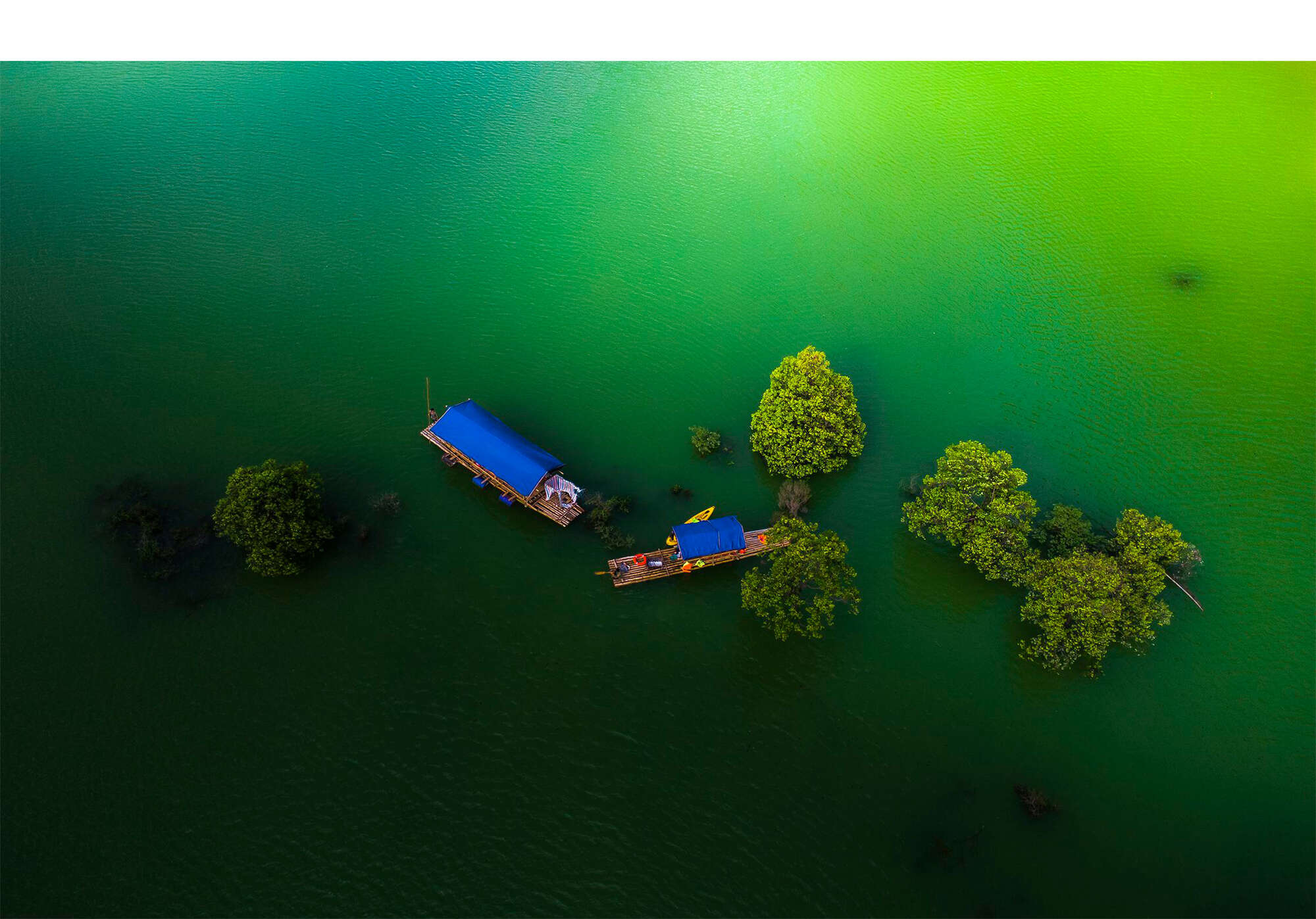 Photo contest Blue + Green - 35AWARDS