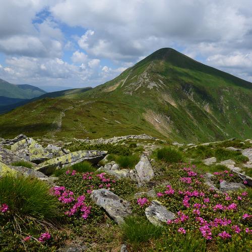 Фото тега Hoverla. 35photo.pro