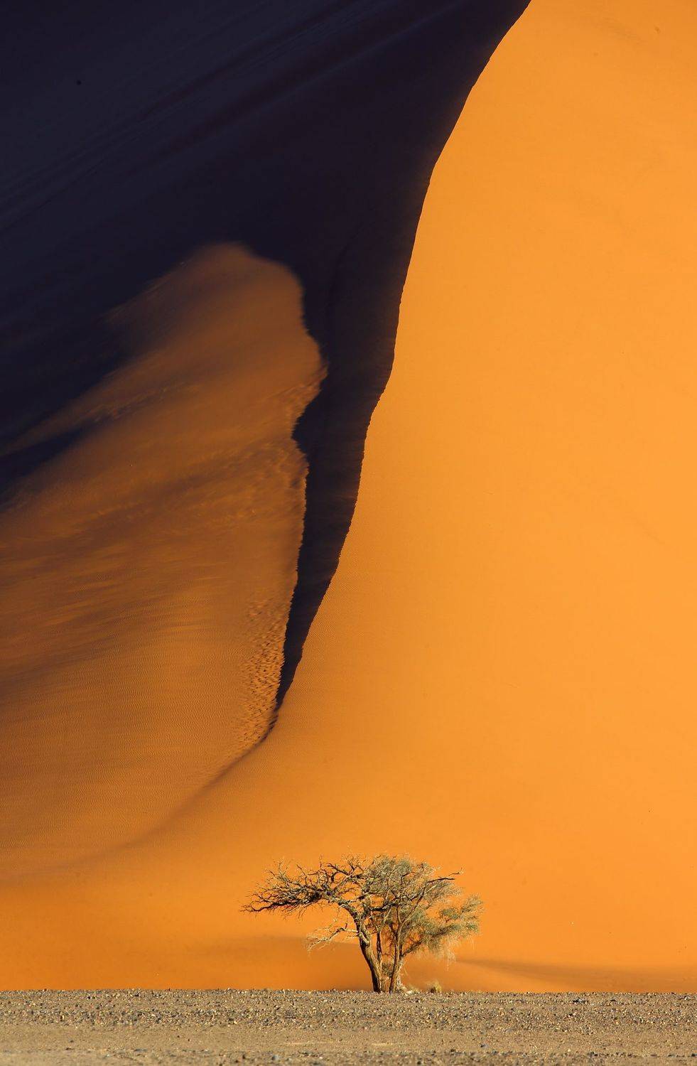 Photo № 6951165. Photographer Gudkov Andrey