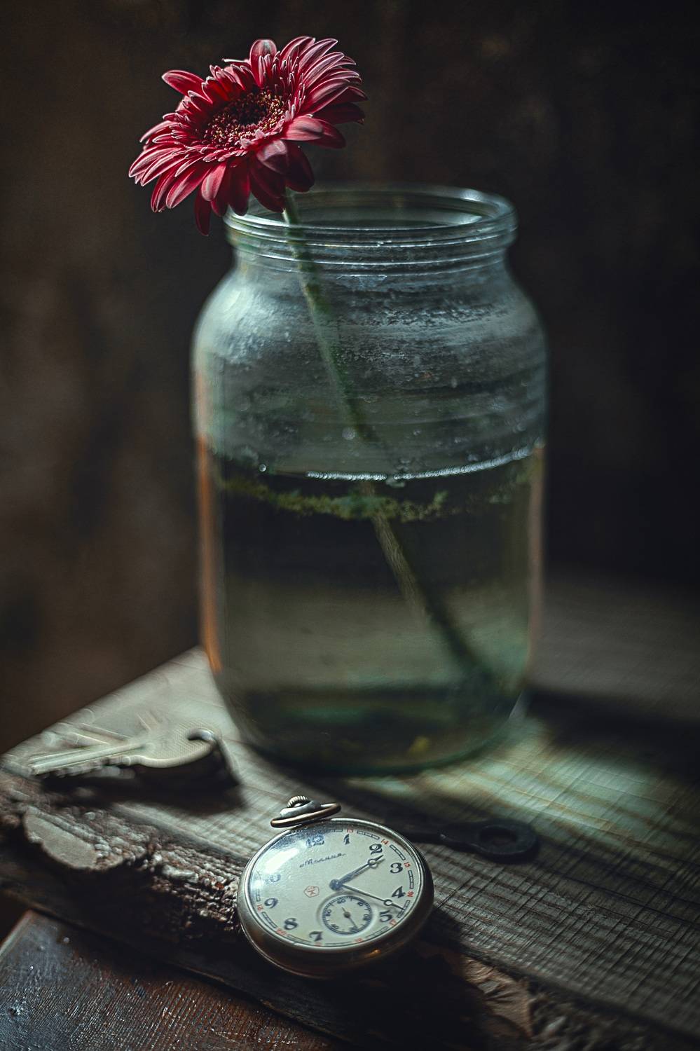 35photo - world photography