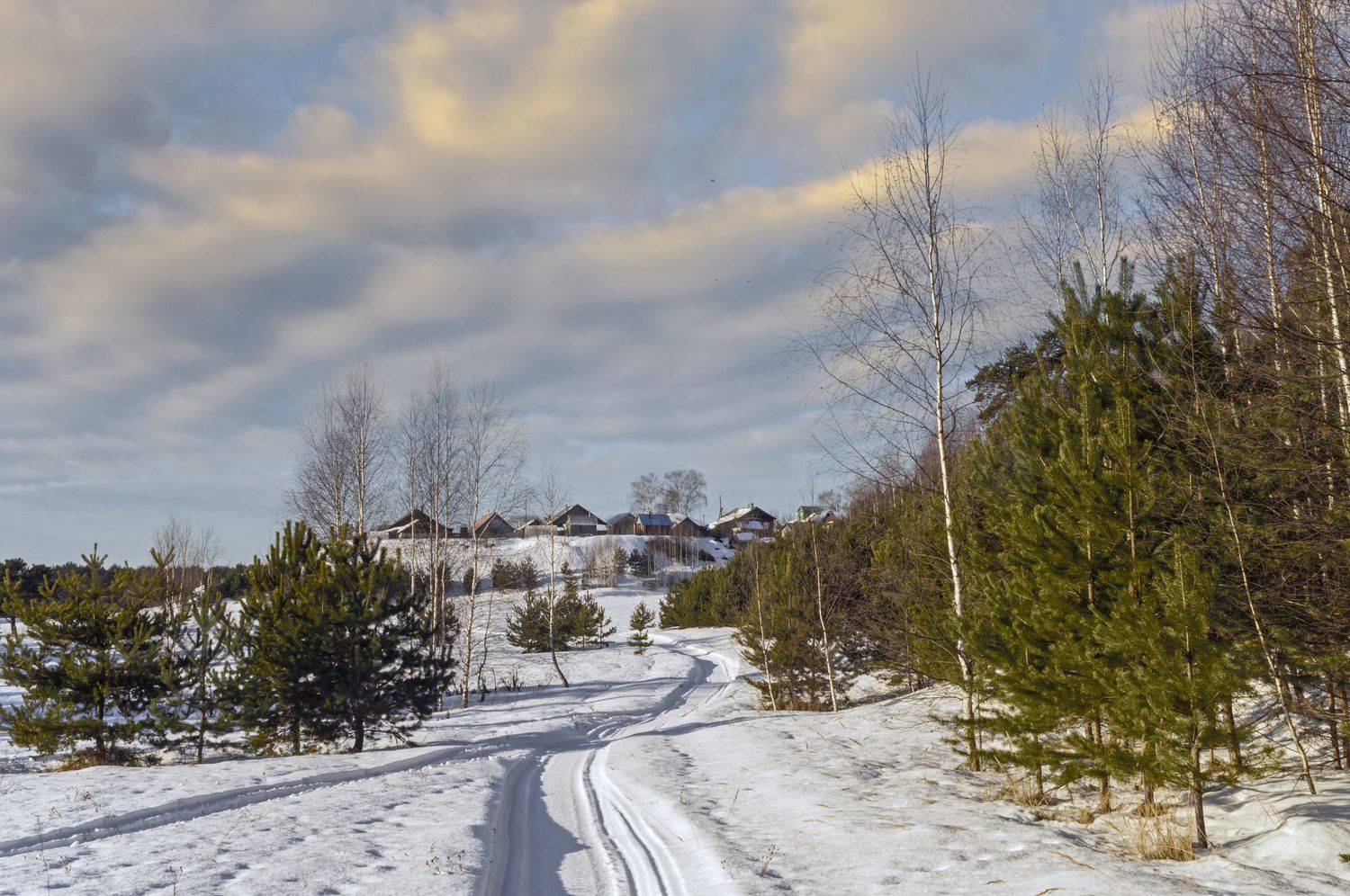 Photo № 8665064. Photographer Shitov Aleksandr