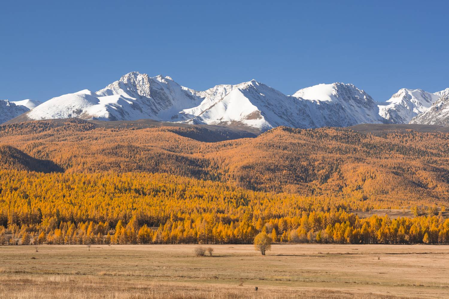 Безоблачное утро. Photographer Andrey Polyakov