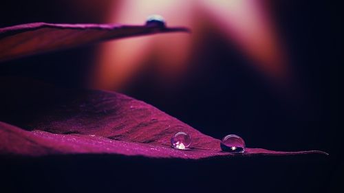 star. Photographer Patrik Valasek