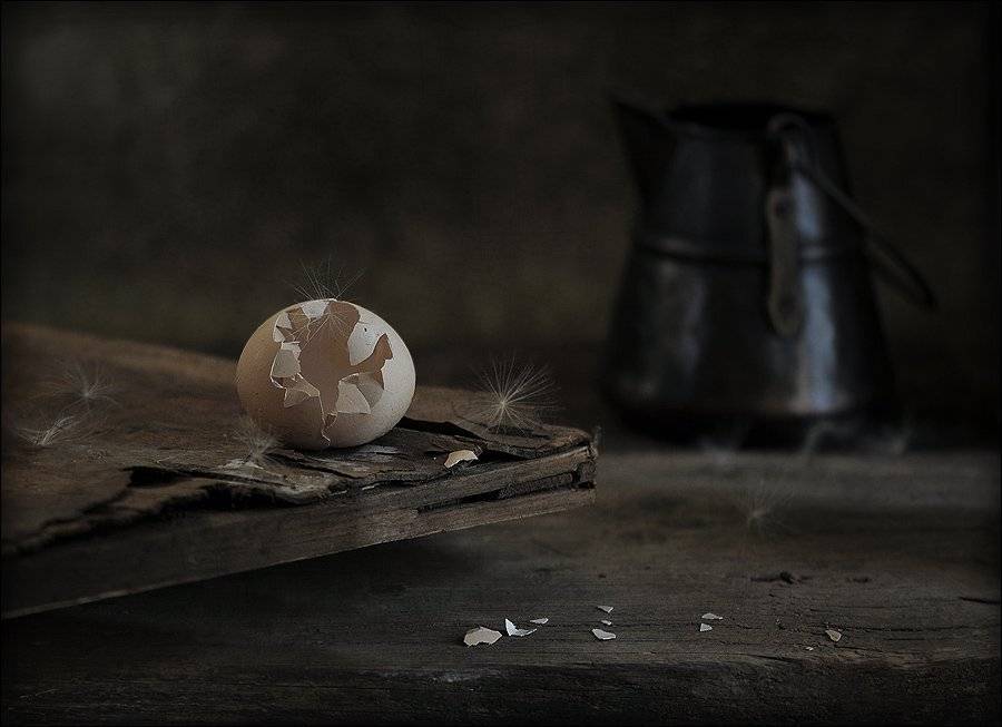 О сбежавшем завтраке ... )). Photographer Soloveva Elena