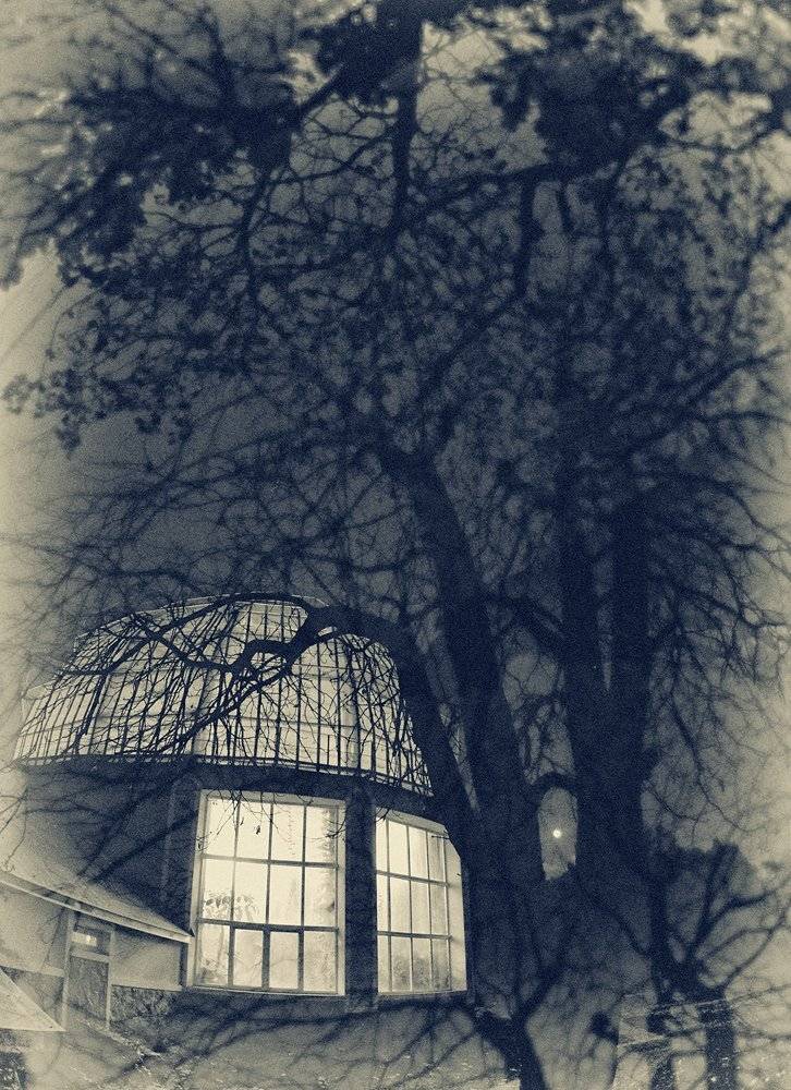 Photographer Nadezhda